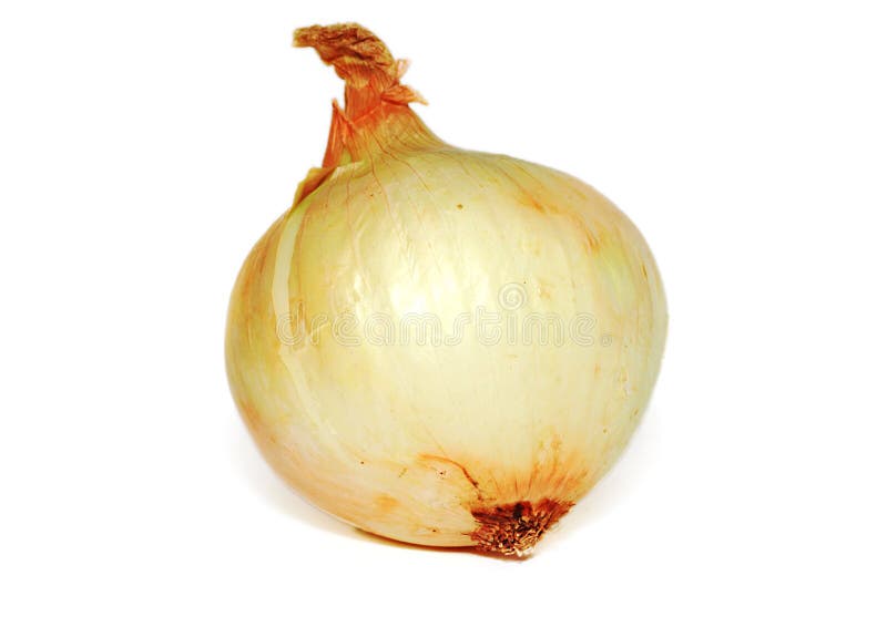 One yellow onion stock image. Image of colour, onion - 110241859