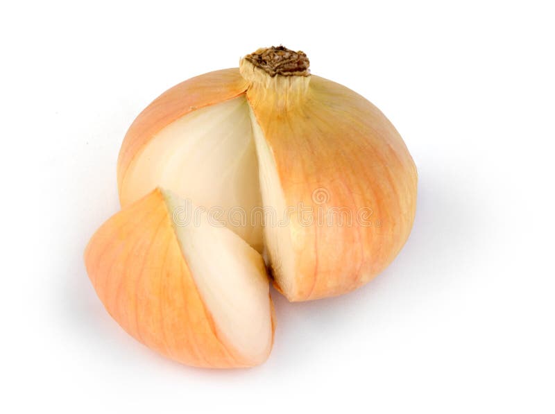 One yellow onion stock image. Image of colour, onion - 110241859