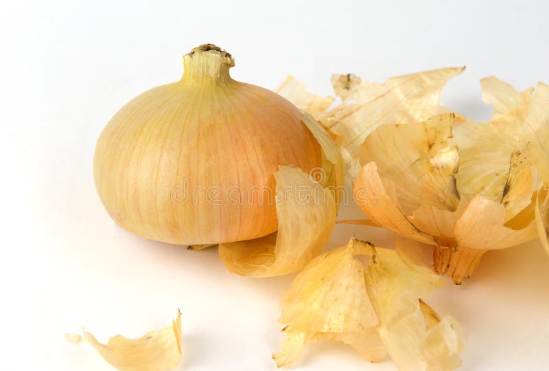One yellow onion stock image. Image of colour, onion - 110241859