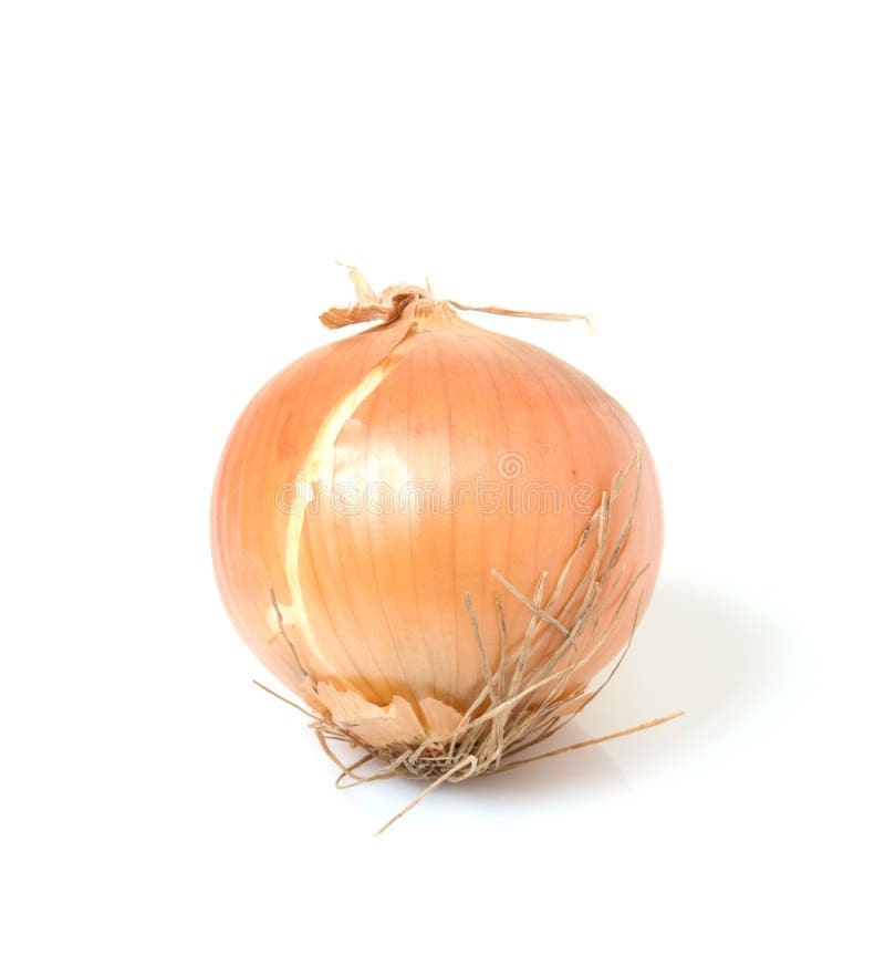 One yellow onion stock image. Image of colour, onion - 110241859