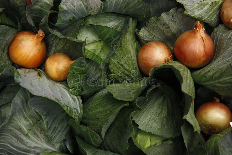 Yellow Onion on Green Leaves Stock Image - Image of groceries, onion ...