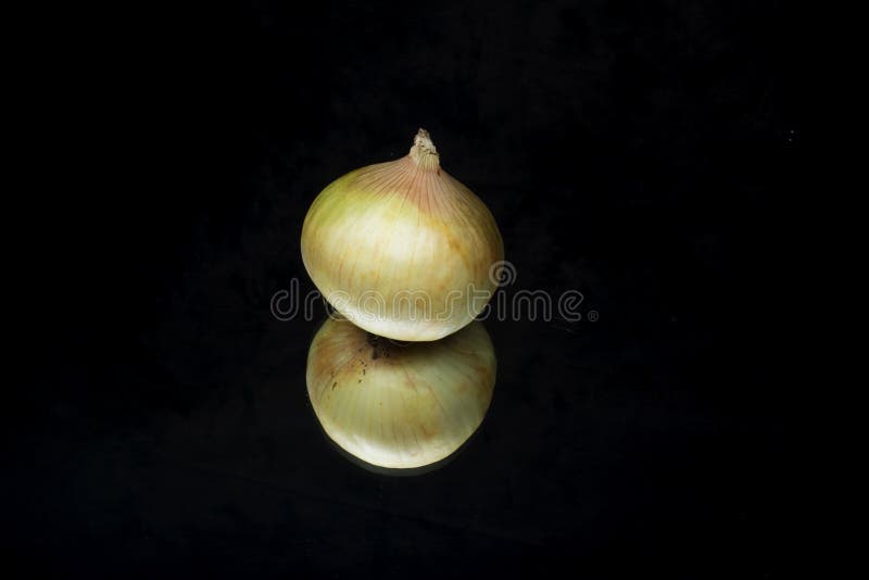 Yellow Onion on Reflective Surface Stock Photo - Image of reflection ...