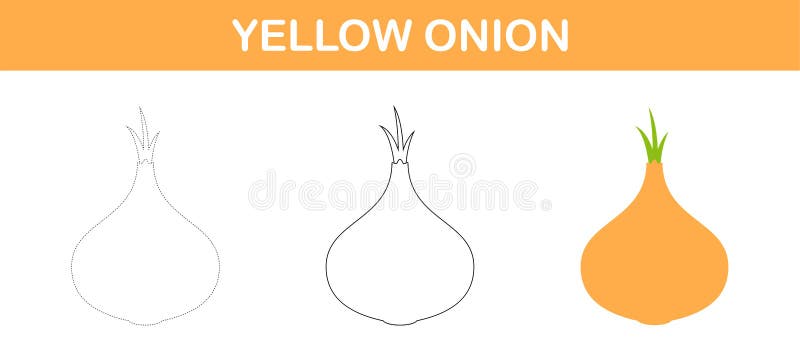 Yellow Onion Tracing and Coloring Worksheet for Kids Stock Vector ...
