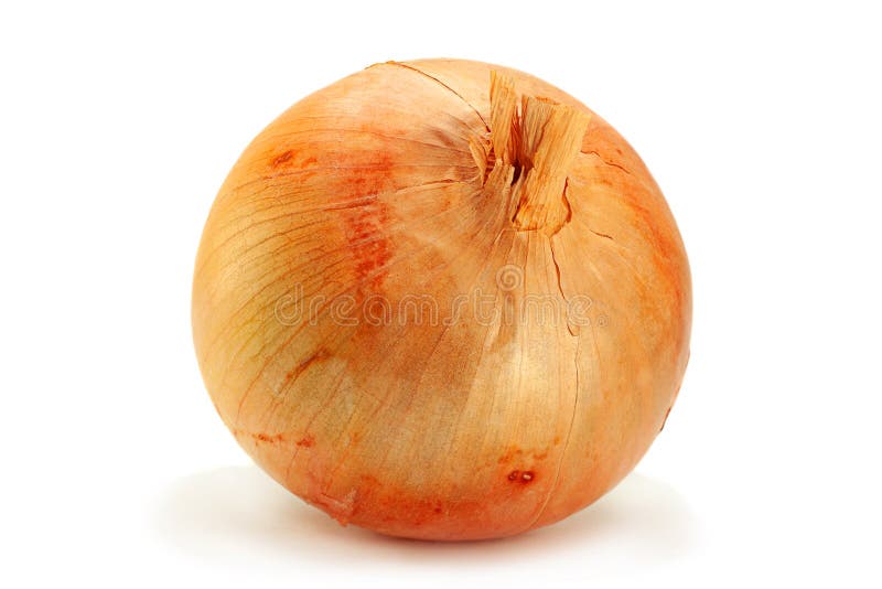 One yellow onion stock image. Image of colour, onion - 110241859