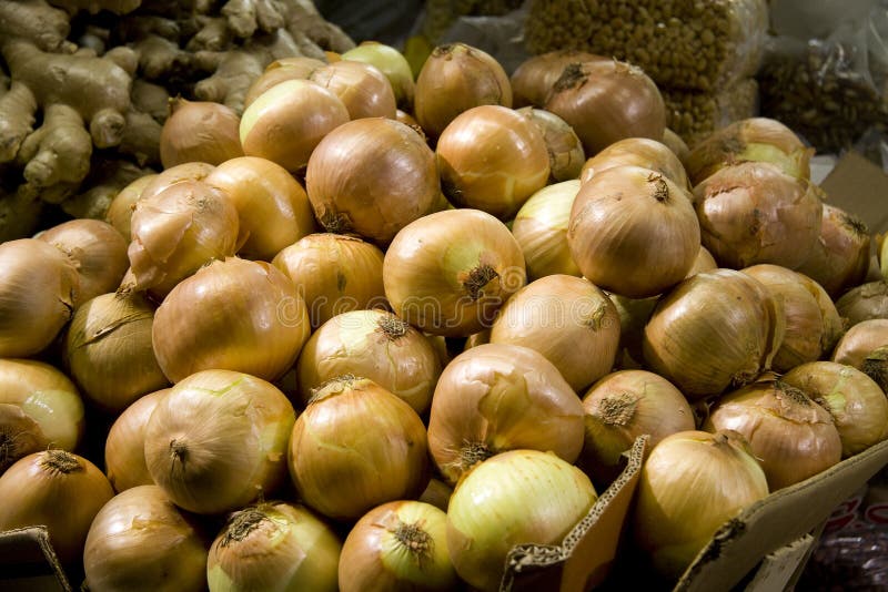 Yellow Onions 1 stock image. Image of ingredient, produce - 8661897