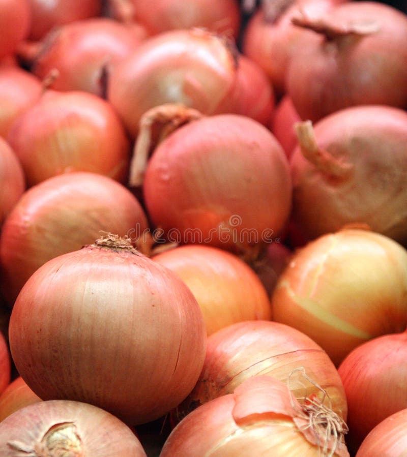 Yellow onions stock photo. Image of health, food, fresh - 2167258
