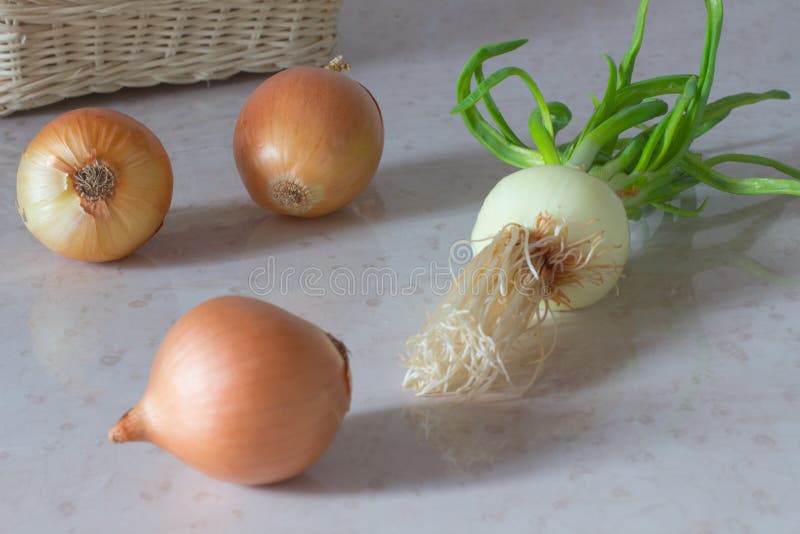 Yellow Onions and Green Onions on Table Stock Photo - Image of bulb ...