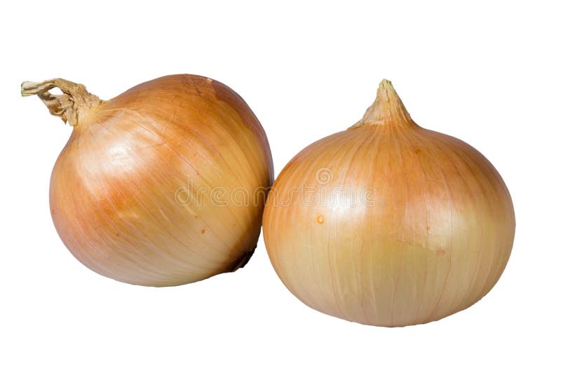 Yellow Onions Isolated on White Stock Image - Image of spicy ...