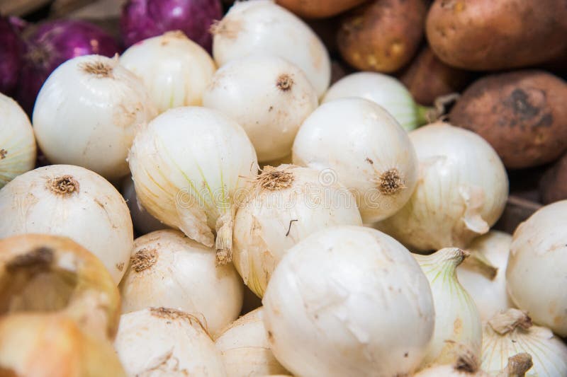 Yellow Onions at the Supermarket Stock Image - Image of harvest ...