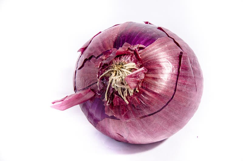 One Large Big Red Onion Looking at You Stock Image - Image of layers ...