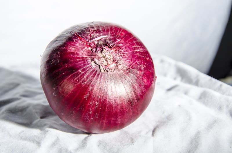 One Red Onion Showing Off it`s Top Stock Photo - Image of stong, last ...