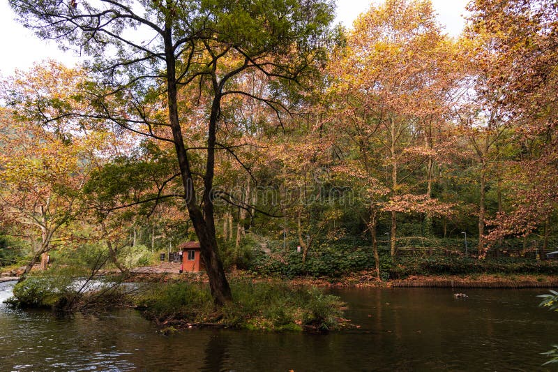 Fall Scene with Autumn Trees Stock Photo - Image of scenic, reflection ...