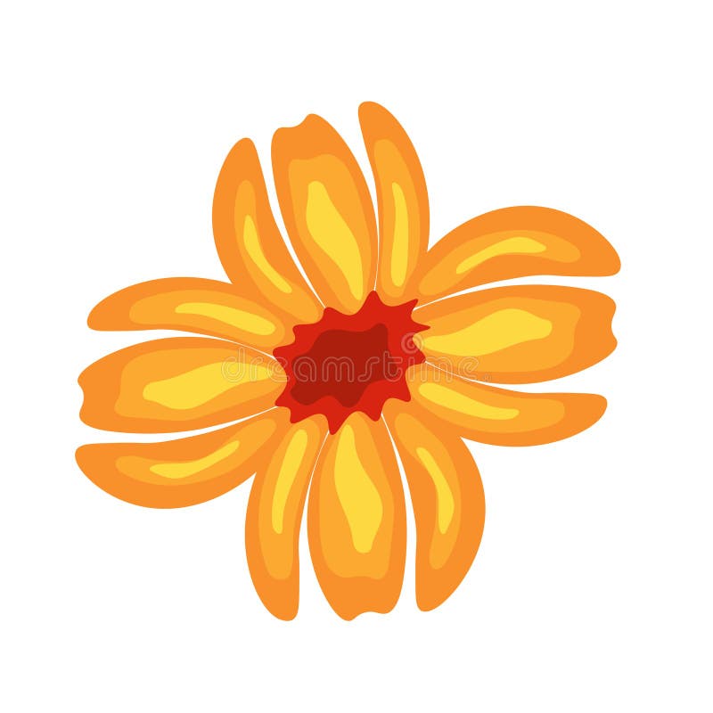 Yellow Orange Flower Vector Illustration Design Template Elements Stock ...