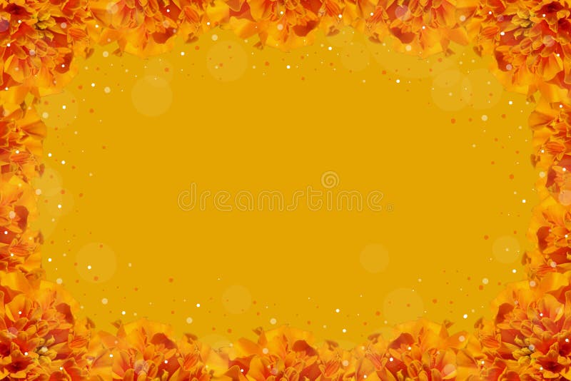 Yellow orange frame stock image. Image of colour, florets - 119040667