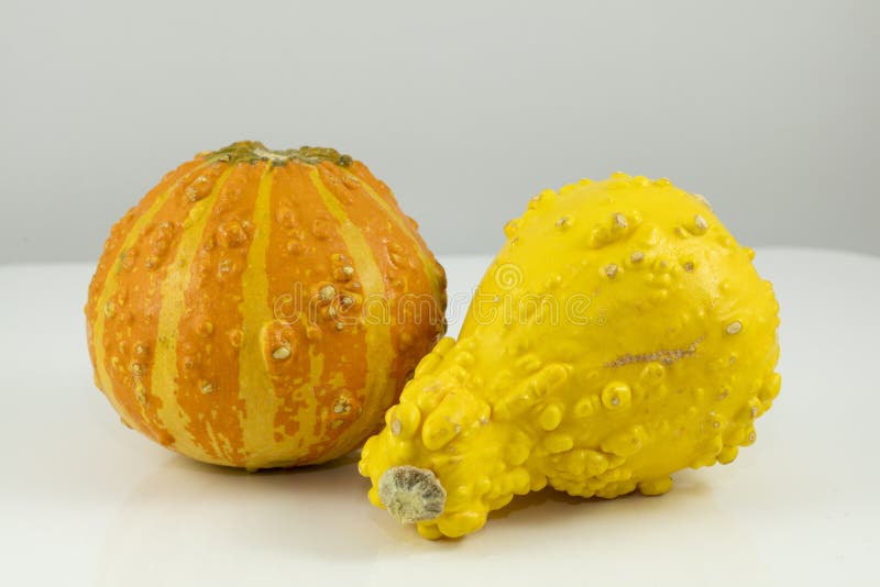 773 Orange Bumpy Gourd Stock Photos - Free & Royalty-Free Stock Photos ...
