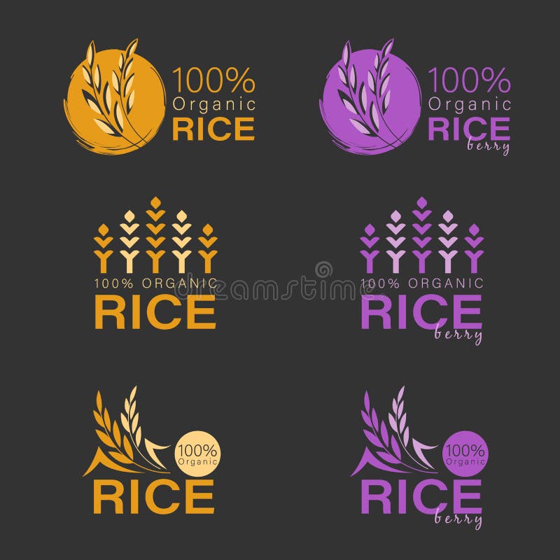Yellow Paddy Rice Organic Grain Products and Healthy Food Banner Sign ...