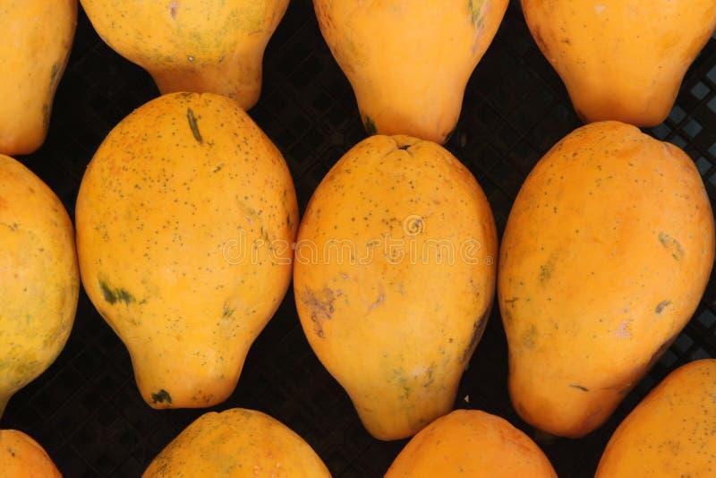 Yellow Papaya stock image. Image of food, produce, fruit - 36764821