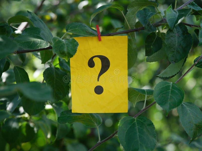 297 Tree Question Mark Stock Photos - Free & Royalty-Free Stock Photos ...