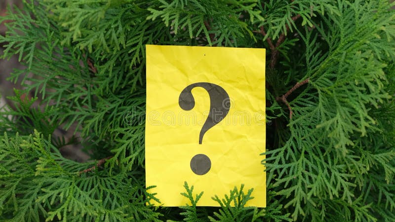 A Yellow Paper Note with a Question Mark on it Hanging on a Juniper ...