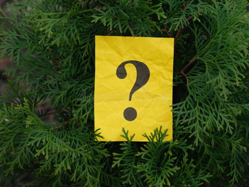 A Yellow Paper Note with a Question Mark on it Hanging on a Juniper ...