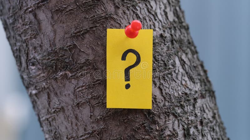 A Yellow Paper Note with a Question Mark on it Pinned To a Tree. Stock ...