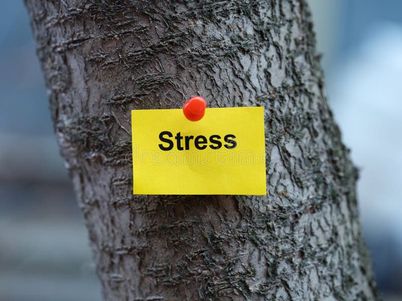 A Yellow Paper Note with the Word Stress on it Pinned To a Tree Stock ...