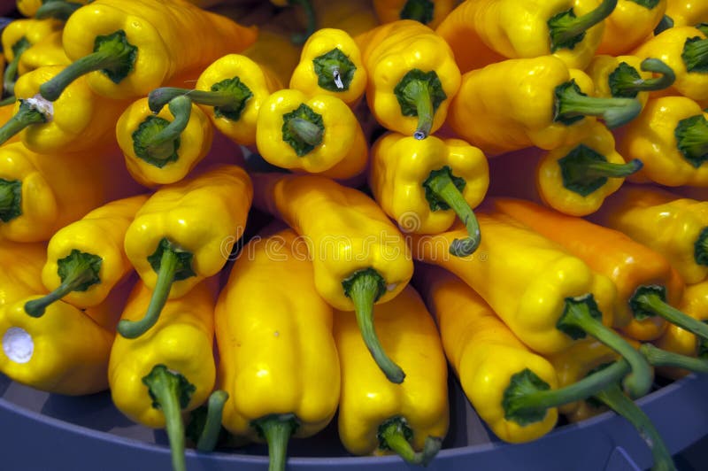 Yellow paprika stock photo. Image of food, vegetable - 24731658