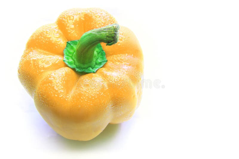 Yellow Paprika Chilli with Freshness Dew Water in Stock Photo - Image ...
