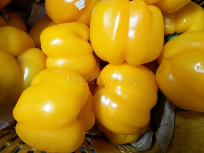 Yellow Paprika Vegetables in One Container Stock Image - Image of ...