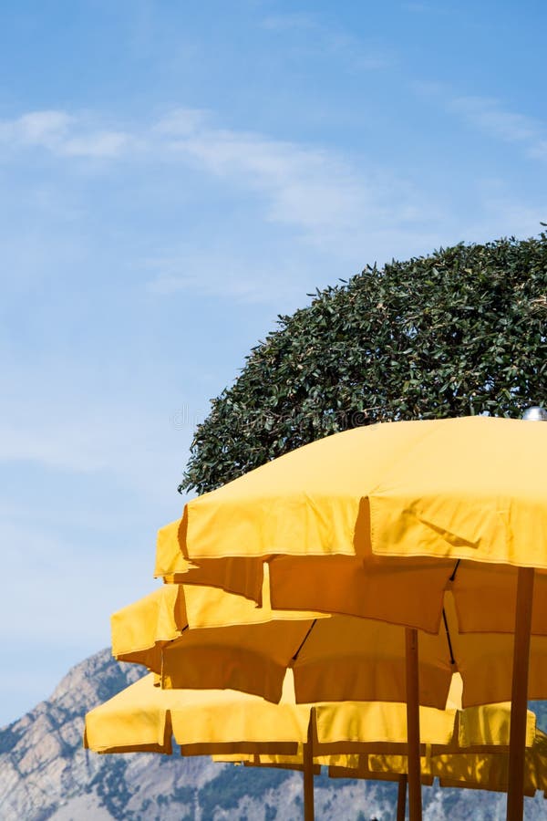 Yellow Parasol stock photo. Image of yellow, sunshine - 51725938