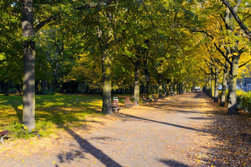 Yellow Park stock photo. Image of color, outdoors, vitality - 16714358