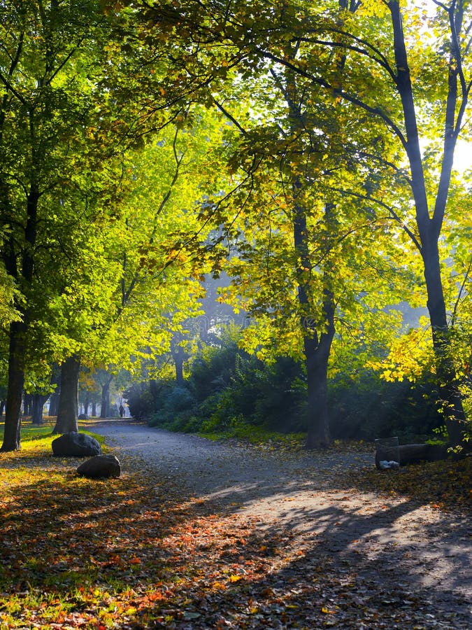 Yellow Park stock photo. Image of colored, view, growth - 16714364