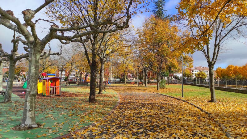 Yellow Park with Trees Fallen Leaves and Playground in the Autumn Stock ...