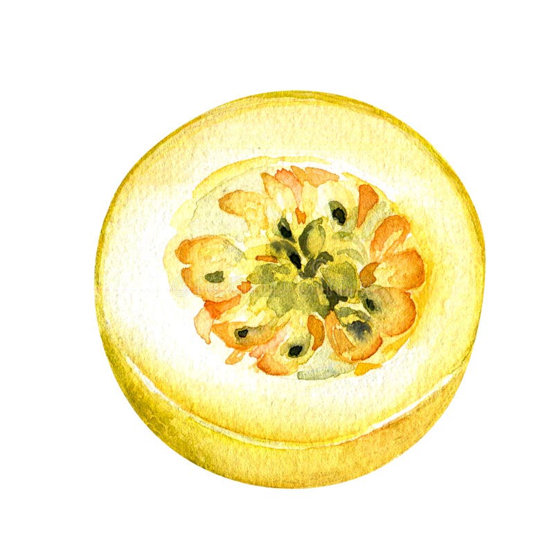 Yellow Passion Fruit Watercolor Illustration Isolated On White