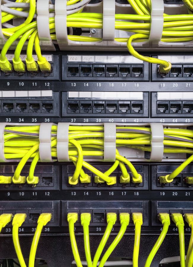 Yellow Patch Cord Internet Cables Stock Photo - Image of blue ...