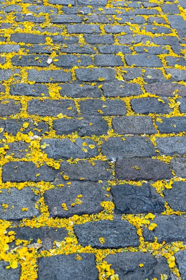 Yellow path in the city editorial image. Image of colorful - 223738800