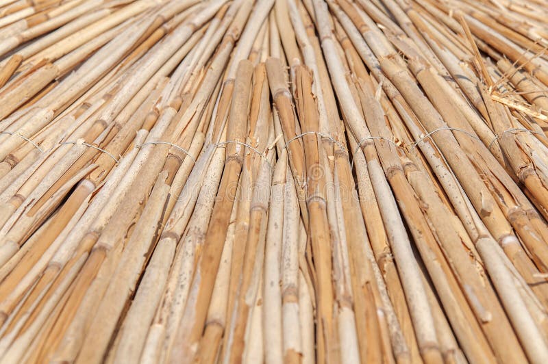 Yellow Pattern Handmade Sun Bed Natural Reed Texture Stock Photo ...