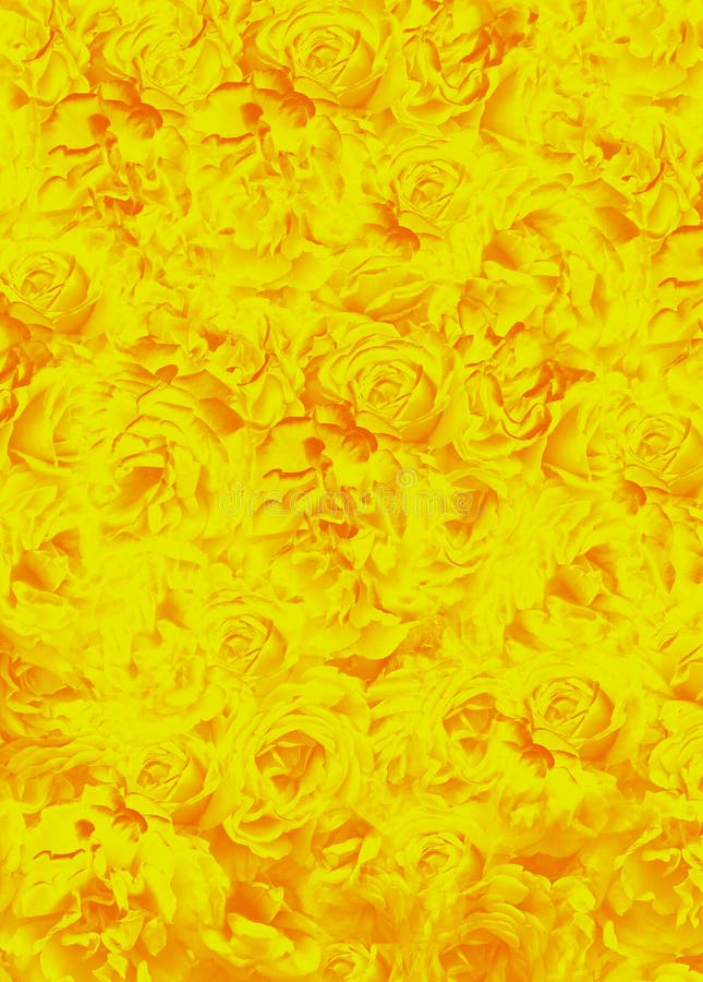 Yellow pattern of roses stock photo. Image of creative - 57215580