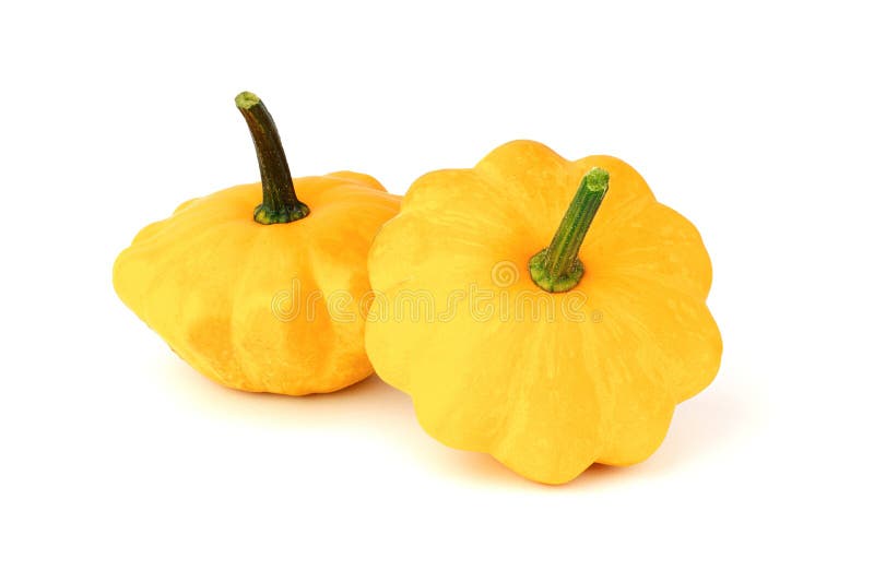 Pattison Isolated on a White Background with a Clipping Path Stock ...