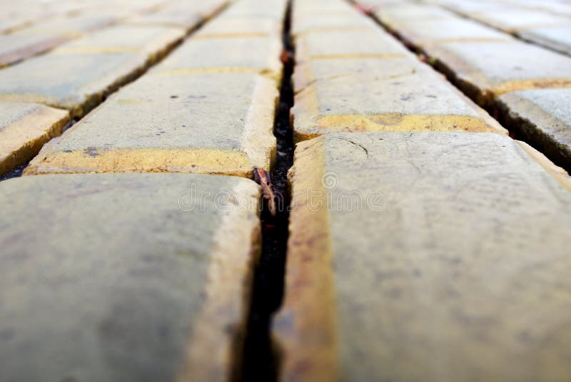 Yellow pavement stock photo. Image of yellow, pointing - 12693336