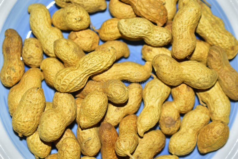Yellow Peanuts in a Shell on a Blue Plate Stock Image - Image of ...