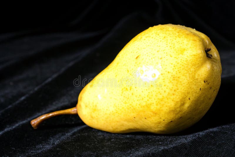 Yellow Pear on Black Background Stock Illustration - Illustration of ...