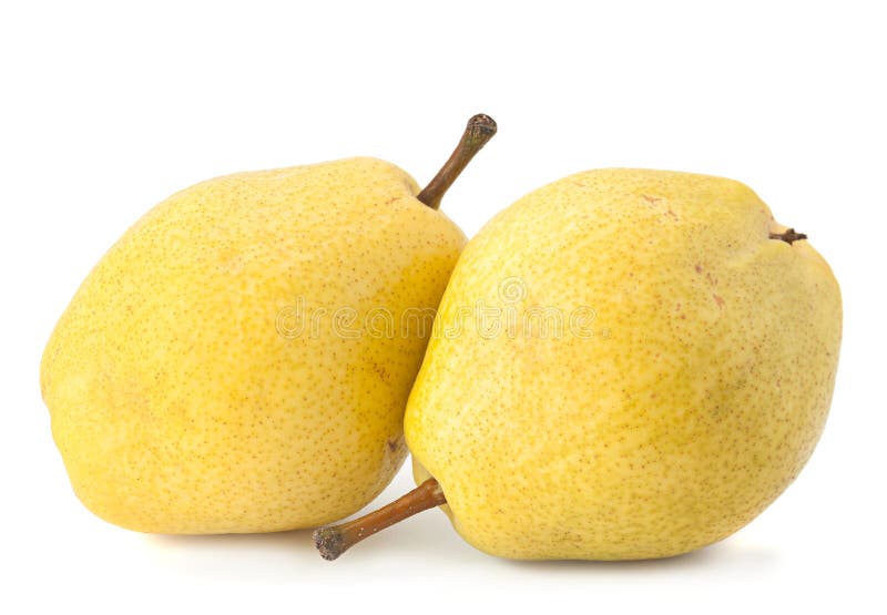 Yellow pear fruit stock photo. Image of nobody, pear - 64146488