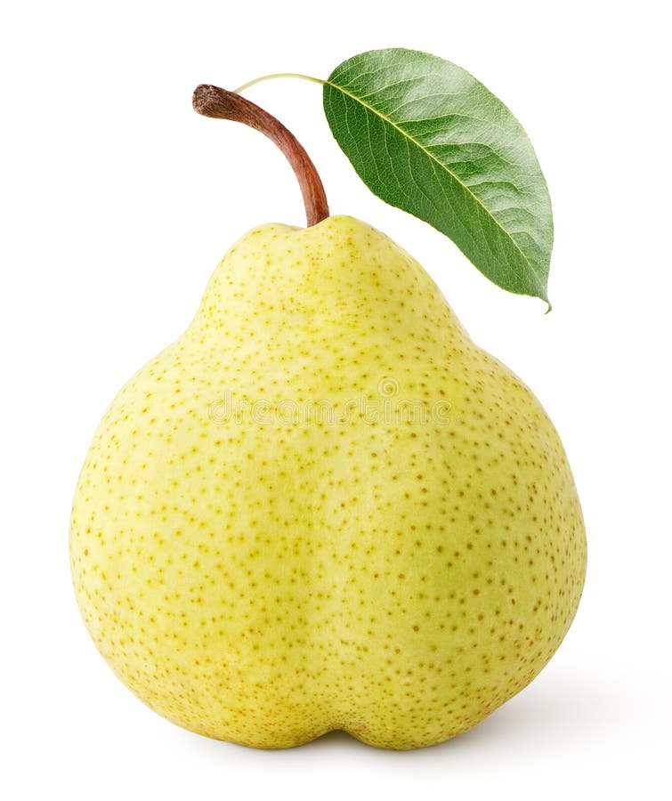 Yellow Pear Fruit with Leaf Isolated on White Stock Image - Image of ... Yellow Pear Fruit with Leaf Isolated on White Stock Image - Image of ...