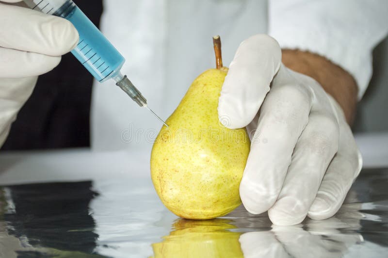 Yellow Pear in Genetic Engineering Laboratory Stock Photo - Image of ...