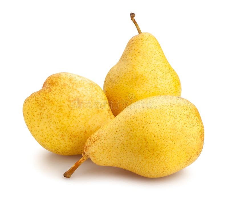 Yellow pear path isolated stock photo. Image of pears - 267654214
