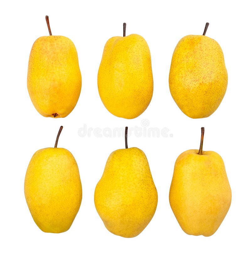 Yellow pear path isolated stock image. Image of ripe - 312893963