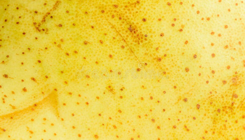 652 Pear Skin Texture Stock Photos - Free & Royalty-Free Stock Photos ...