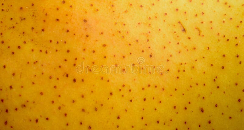 Yellow Pear Skin with an Interesting Texture. Background Stock Photo ...