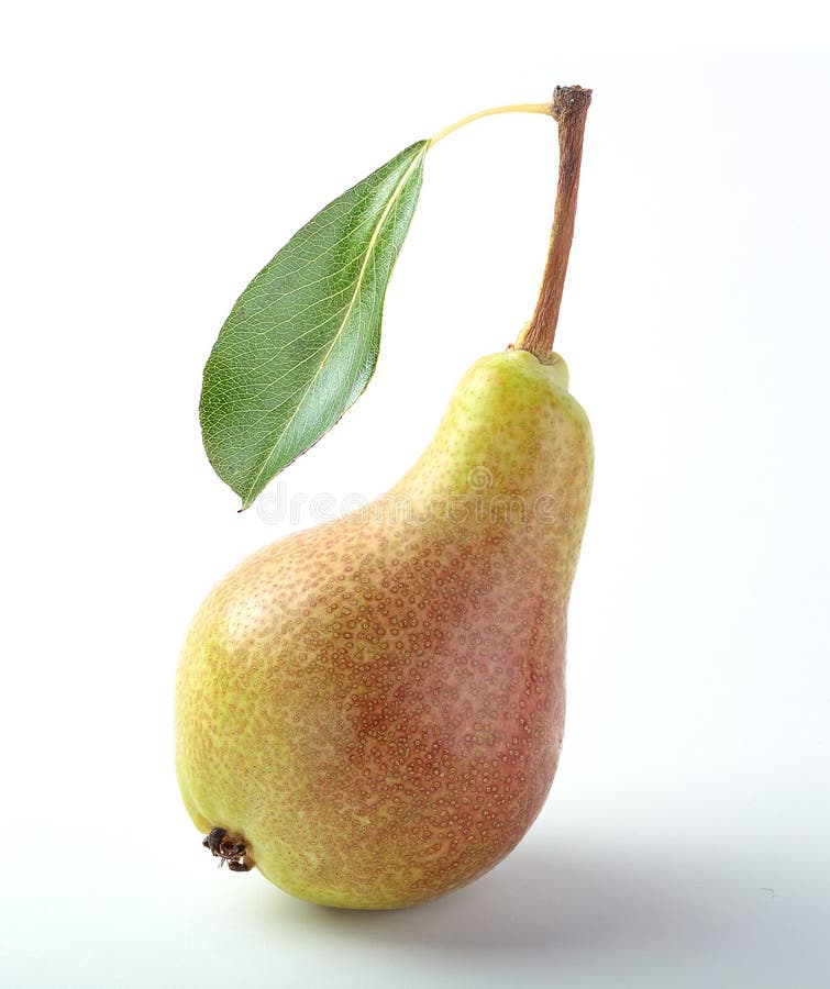Pear stock photo. Image of background, isolated, garden - 38887104